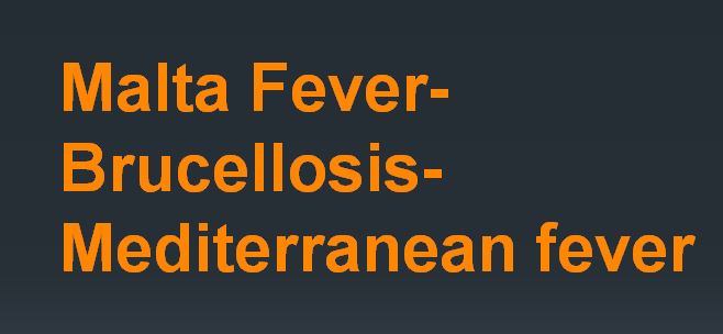 Malta Fever- Brucellosis- Mediterranean fever – Evolution of Medical ...